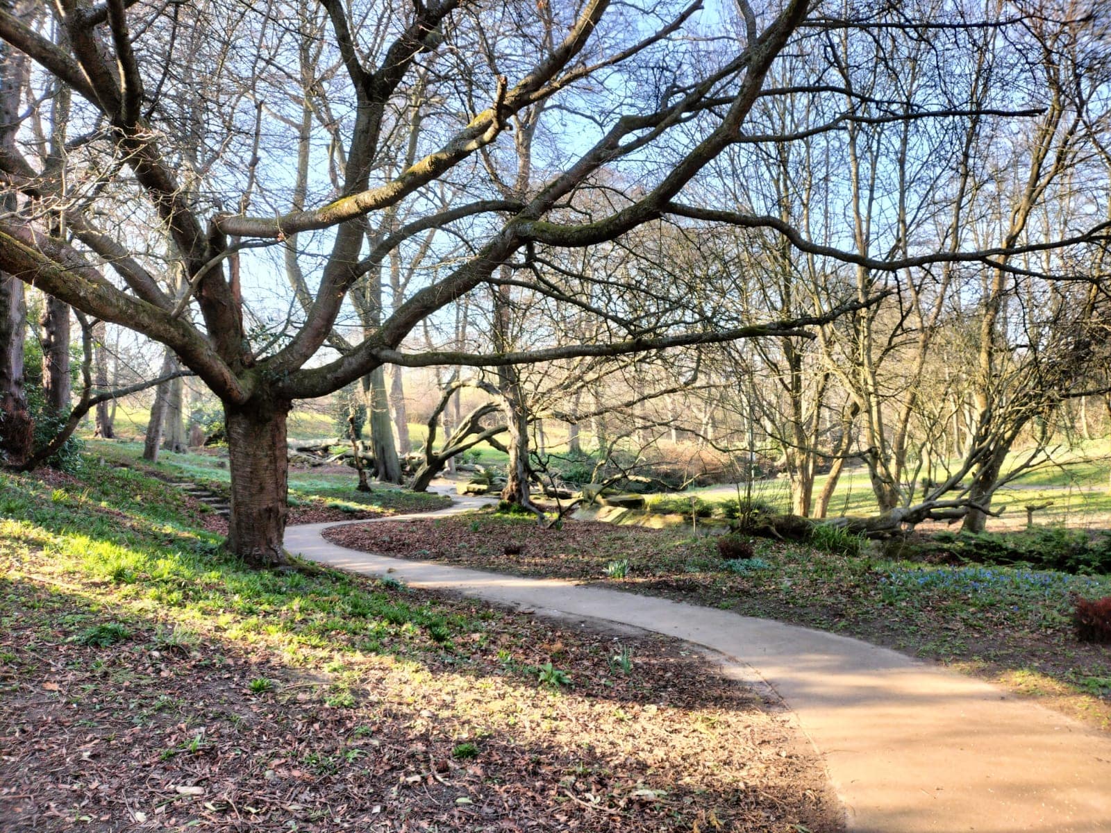 Home - Friends of Doxford Park